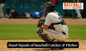 Catcher Signals: How Catchers Communicate with Pitchers