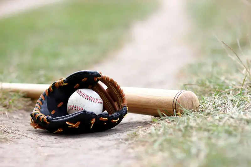 Types of Wood Baseball Bats: Simple Yet Detailed Guide
